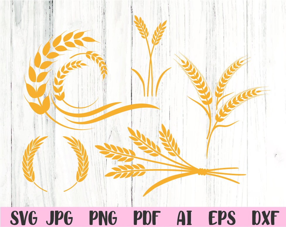Wheat Svg Grain Svg Wheat Svg Bundle Svg Files for Cricut - Etsy Australia