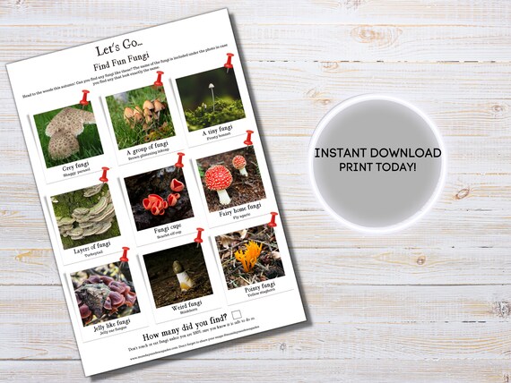 Nature Scavenger Hunt for Kids. Fungi Hunt Printable. Mushroom | Etsy