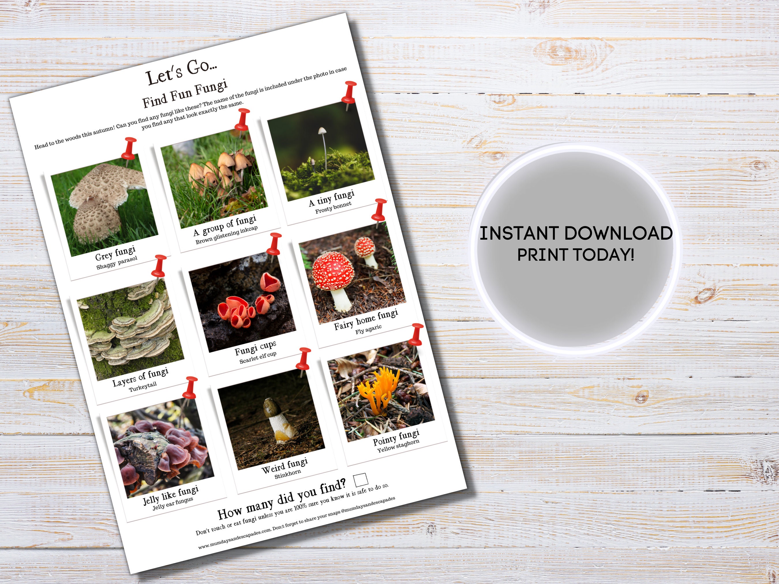 Nature Scavenger Hunt for Kids. Fungi Hunt Printable. Mushroom ...