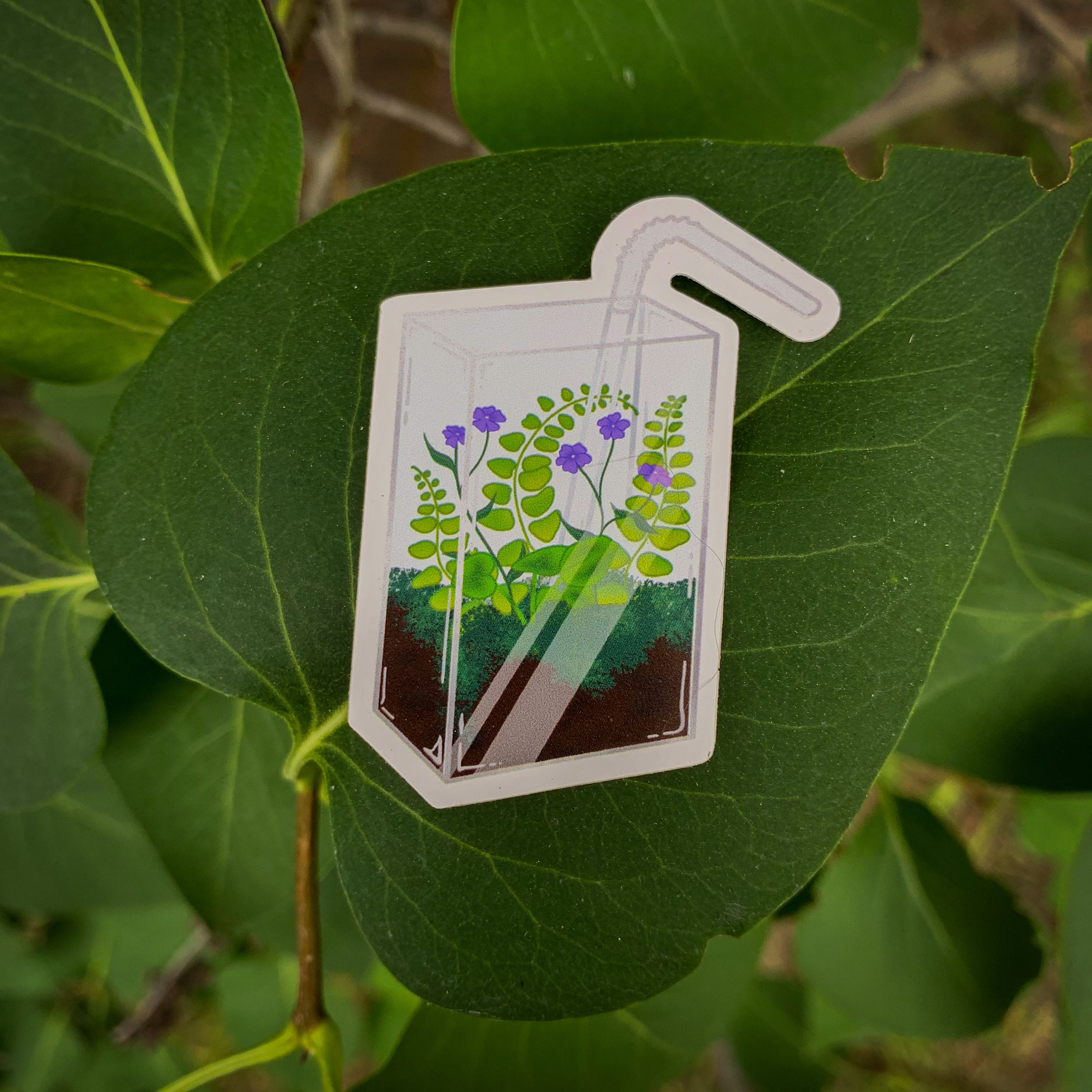 Juice Box Terrarium Sticker Matte Die Cut 1.5 X 2 Sticker - Etsy