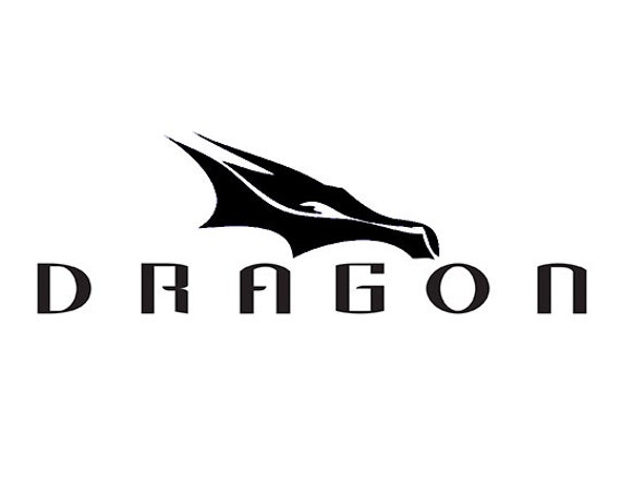 Spacex Dragon Logo SpaceX's Newest Crew Dragon Now Sports NASA's