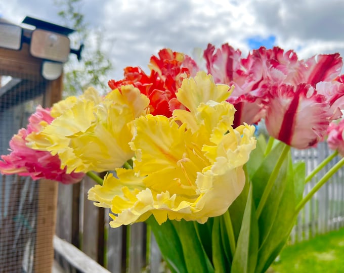 Parrot Tulips, Fake Tulips, Silk Flowers, Flower Bouquet, Basket ...