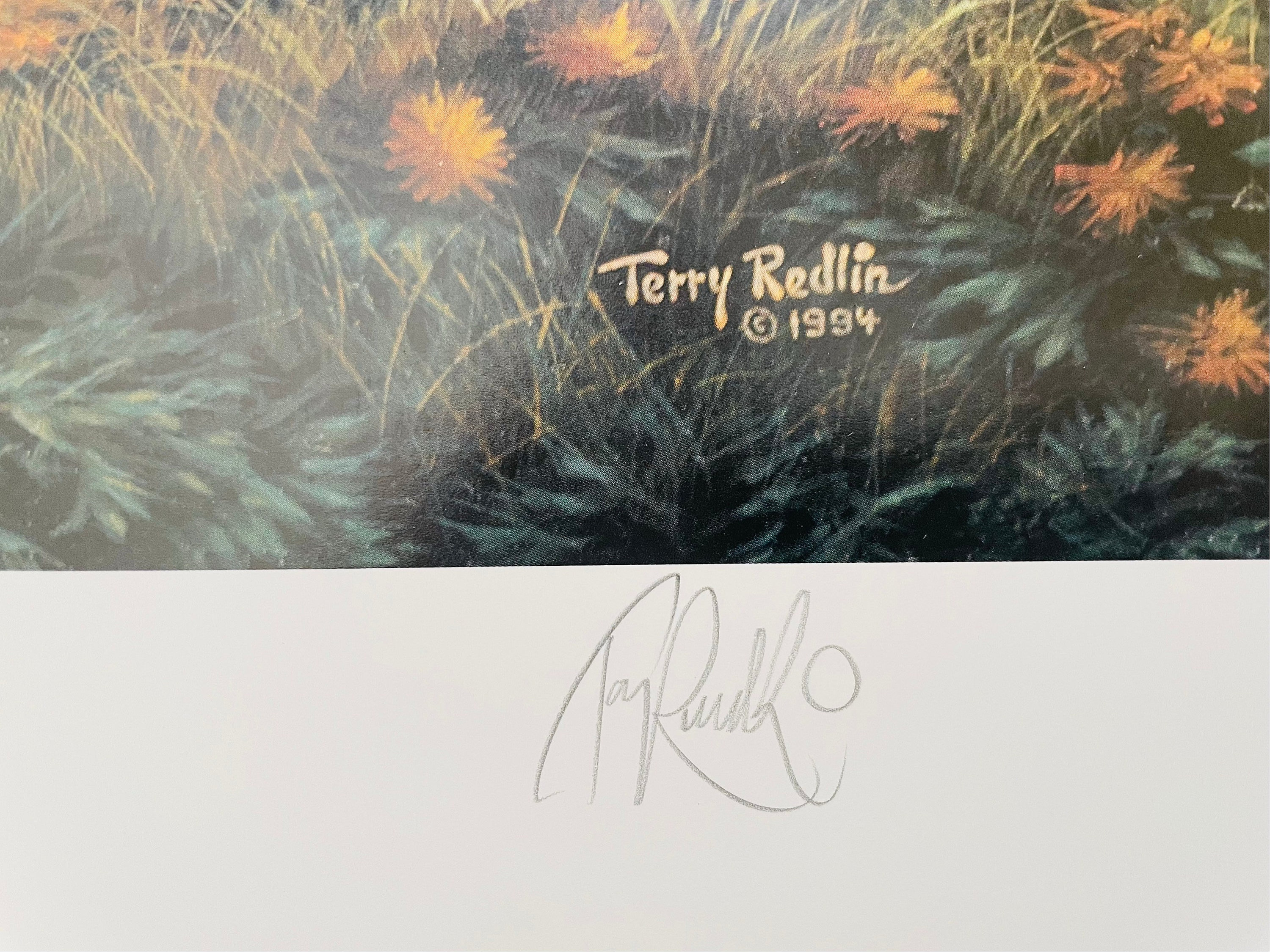 Spring Fever by Terry Redlin - Etsy