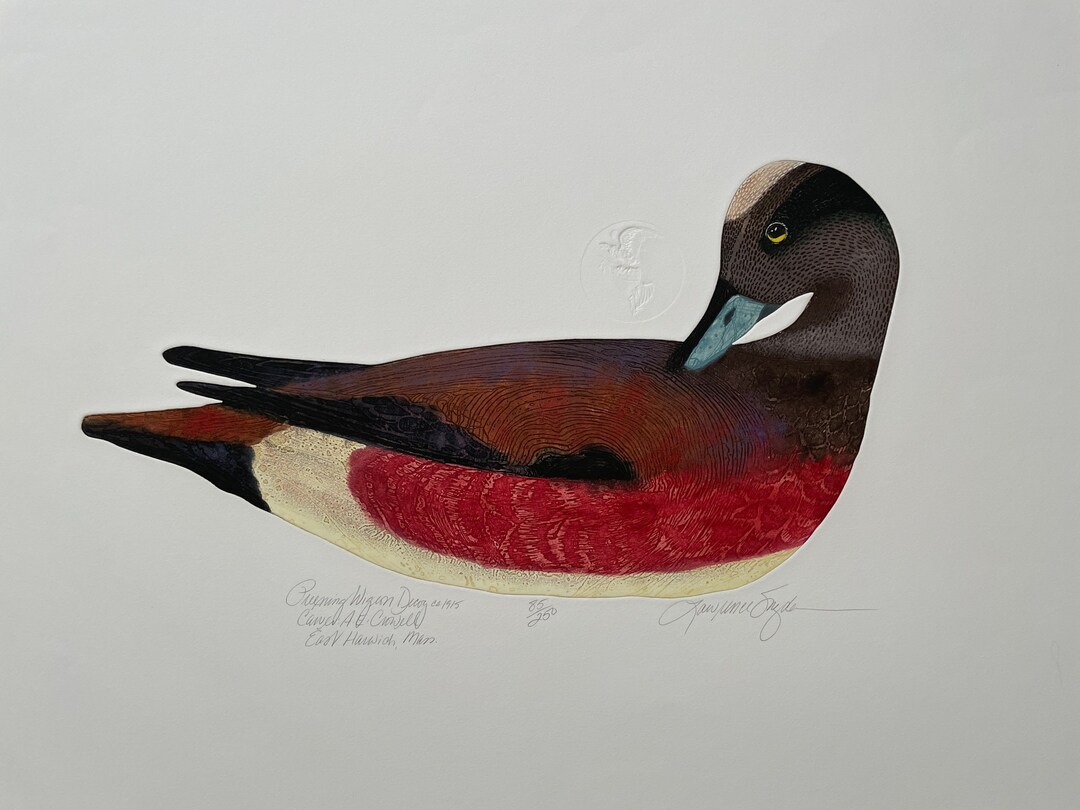 Preening Wigeon Decoy Ca1915 Engraved by Lawrence Snyder - Etsy