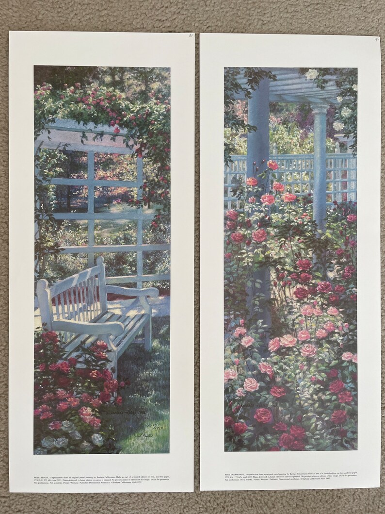Barbara Hail’s “rose Bench and Rose Colonnade” - Etsy