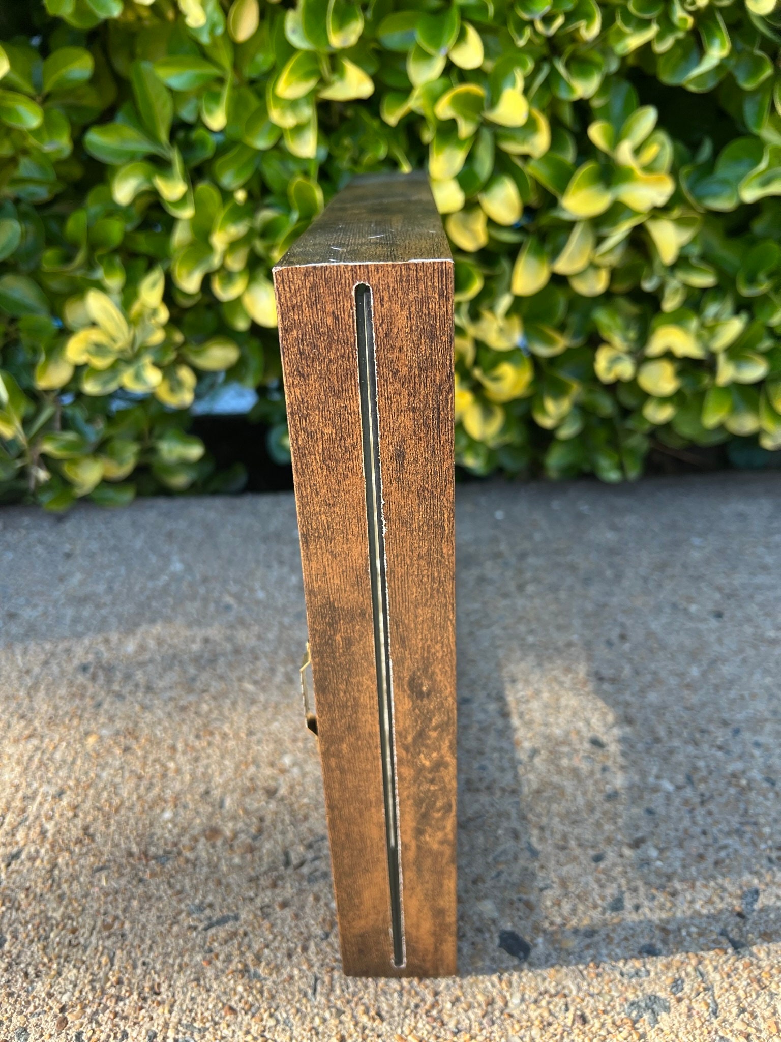 Toadstool Scene Spore Print Artwork Made With Mushroom - Etsy