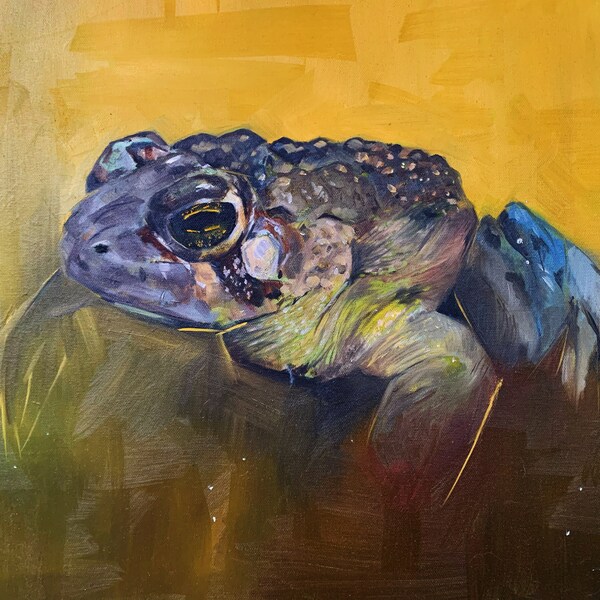 Toad Painting - Etsy