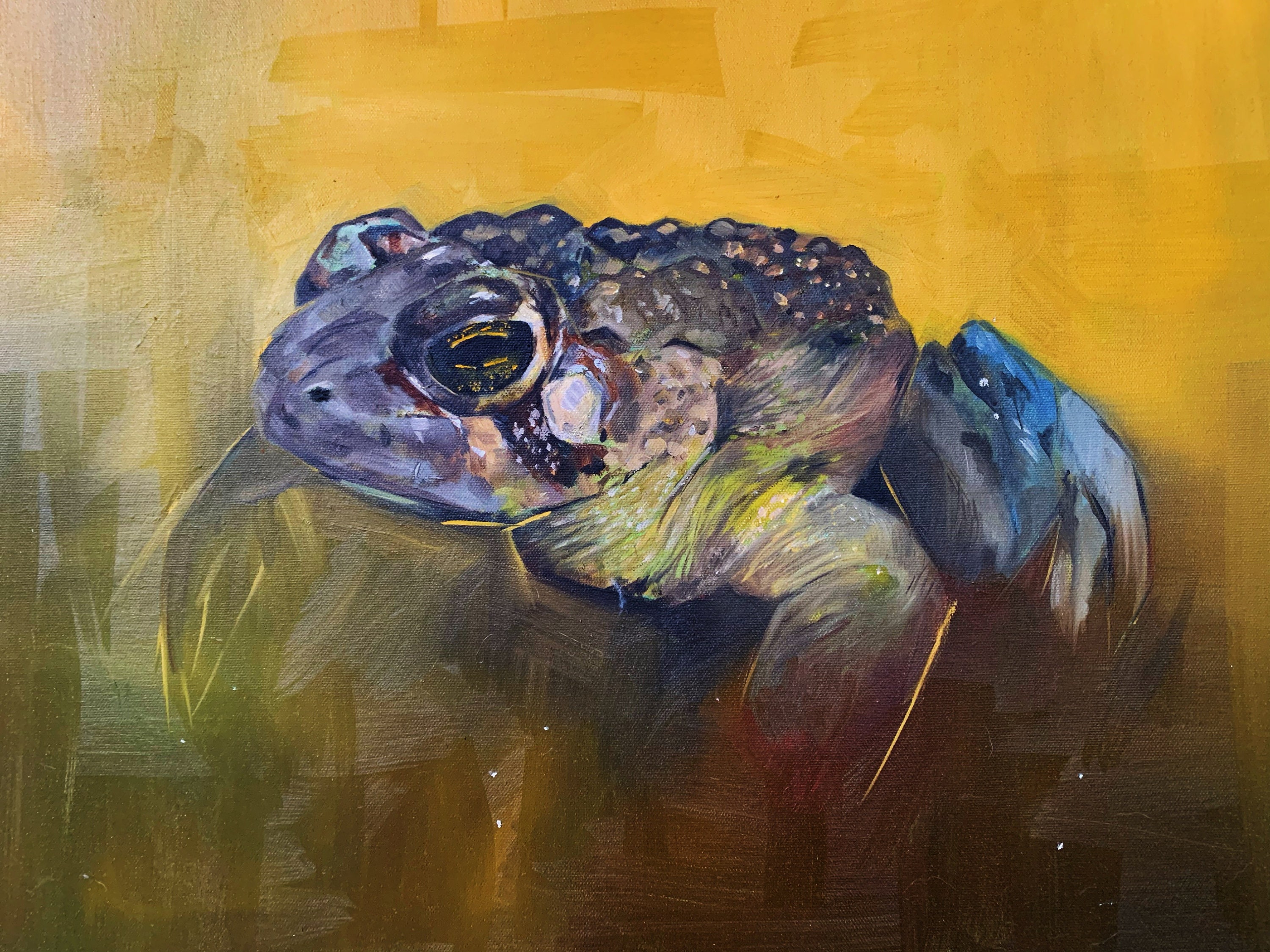 Toad Painting