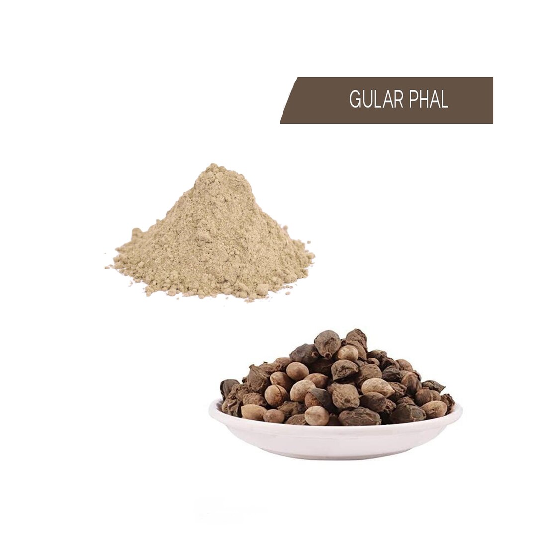 Ficus Carica, Gular Phal, Raw Herbs, Gular Fal, Gular Fruit, Single ...