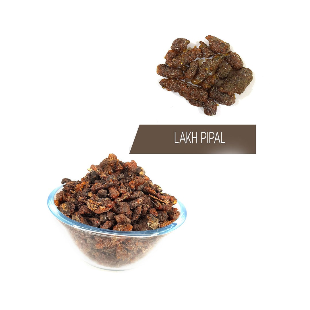 Lakh Pipal, Ficus Religiosa , Pipal Lakh, Shellac Lac , Lakh Kachli ...