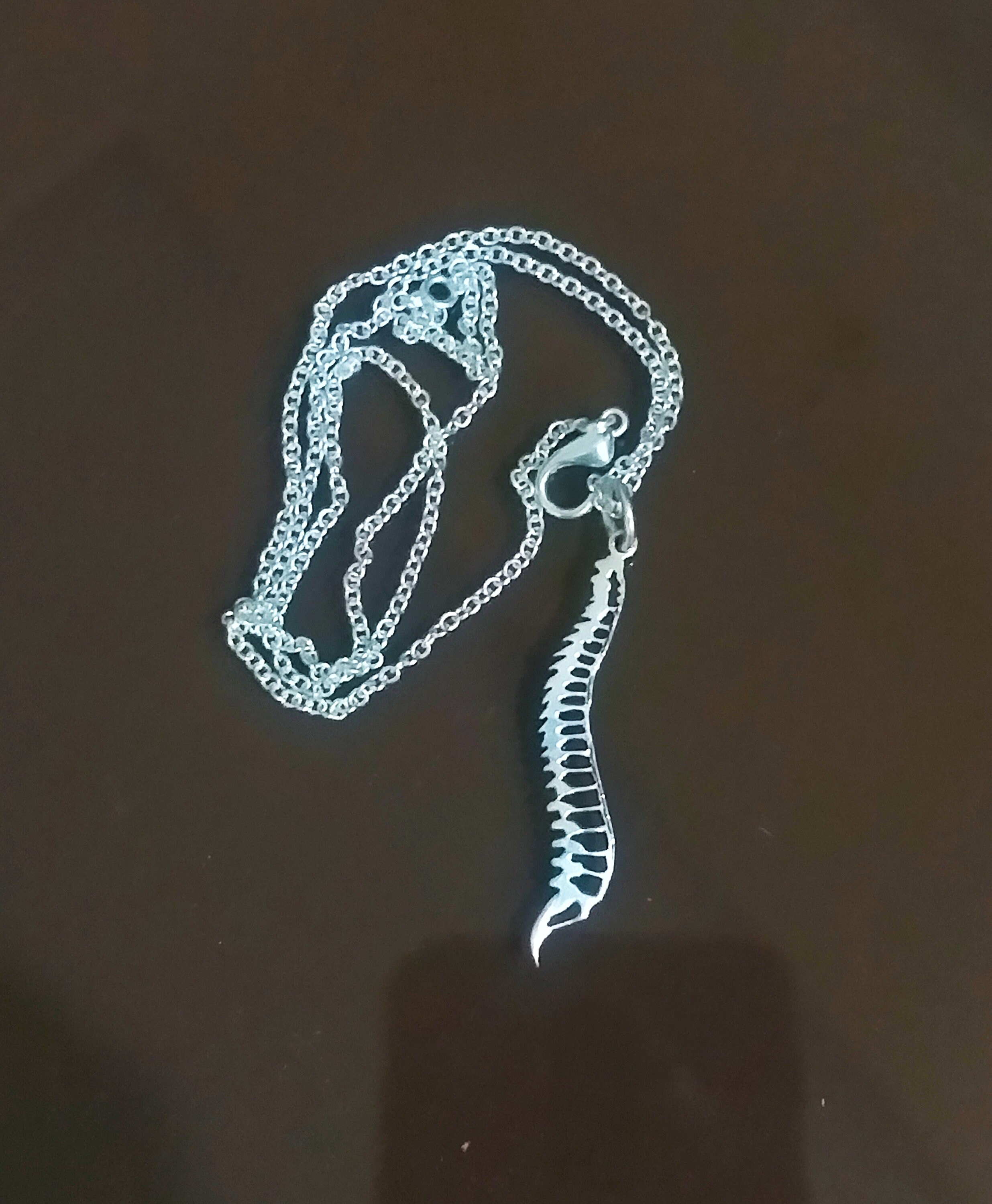 Spinal Cord Pendant Human Organ Jewelry Silver Pendant Biology Jewelry ...