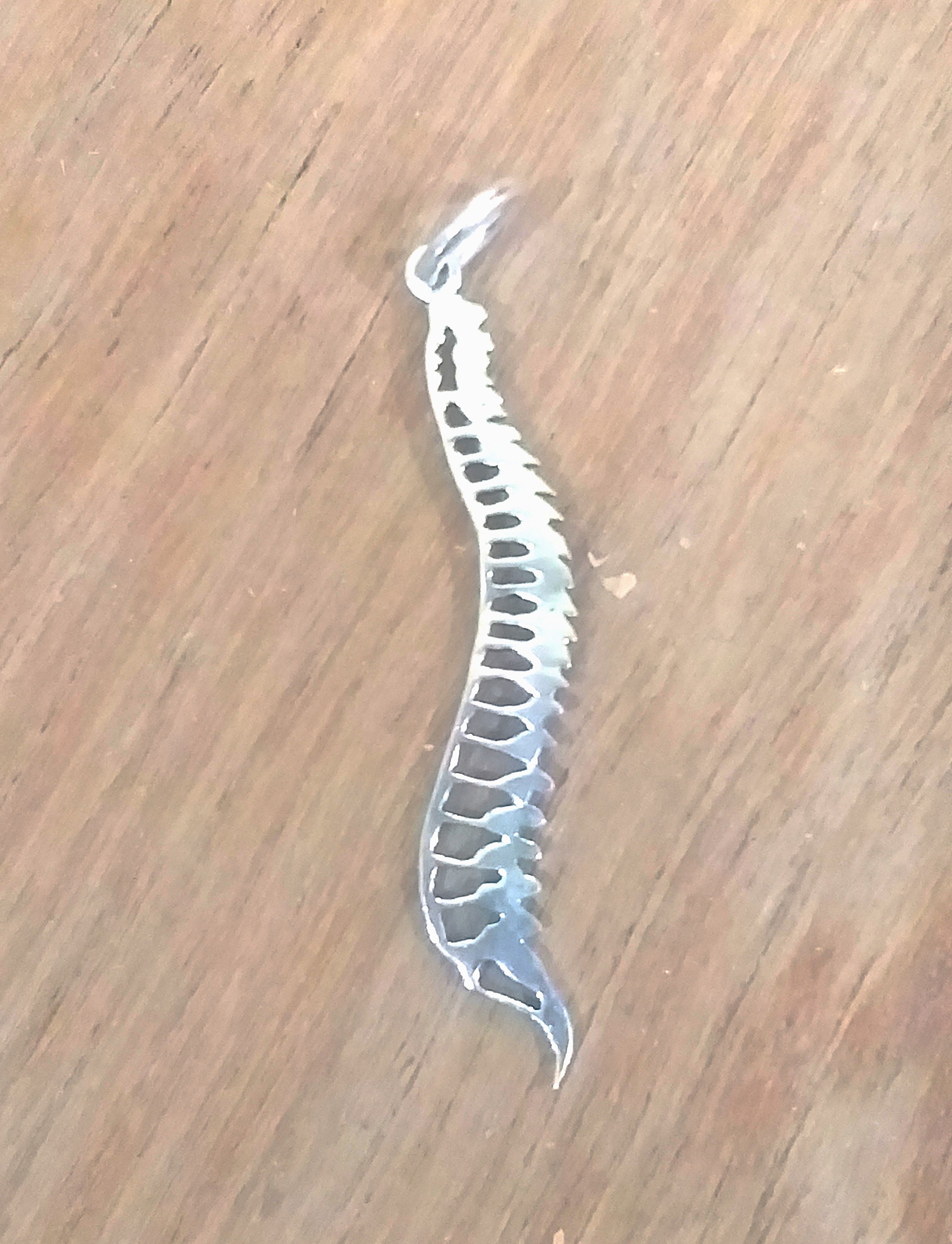 Spinal Cord Pendant Human Organ Jewelry Silver Pendant Biology Jewelry ...
