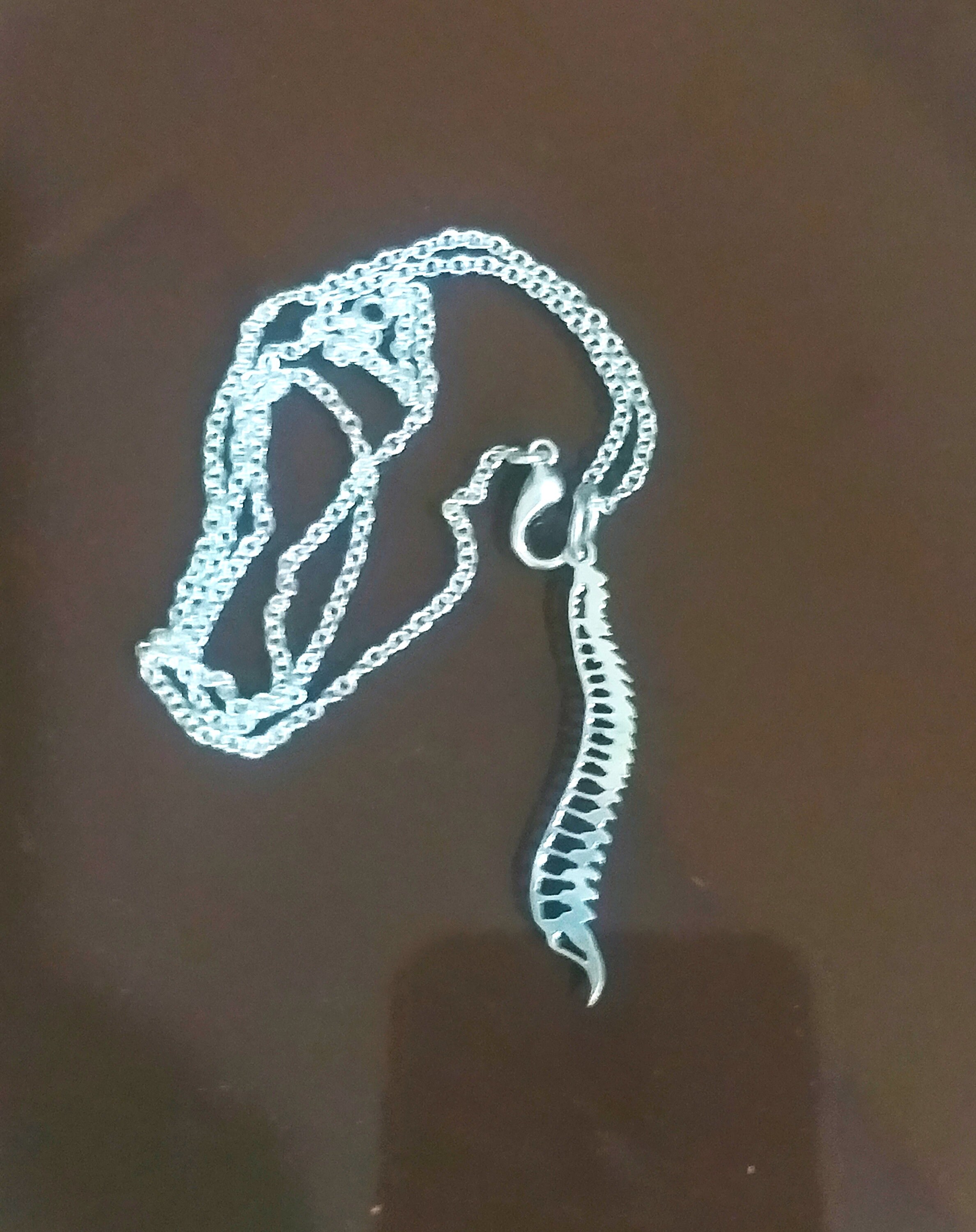 Spinal Cord Pendant Human Organ Jewelry Silver Pendant Biology Jewelry ...