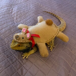 Custom Reptile Costume and Accessories - Etsy