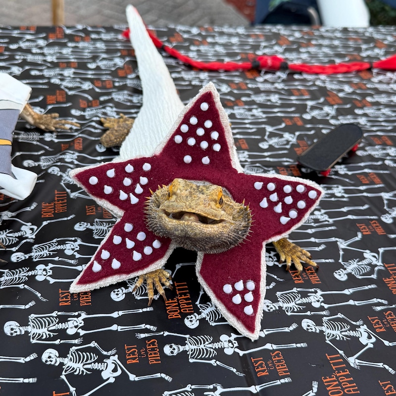 Demogorgon Costume - Etsy