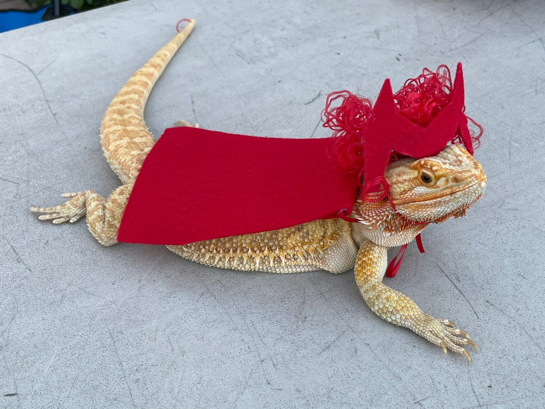 Scarlet Witch Lizard - Etsy