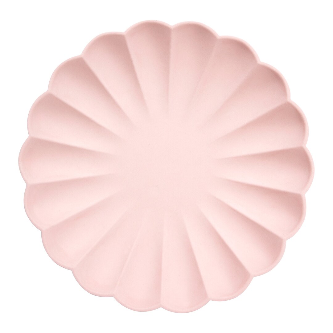 Meri Meri Large Candy Pink Compostable Plates (pack of 8) - Etsy