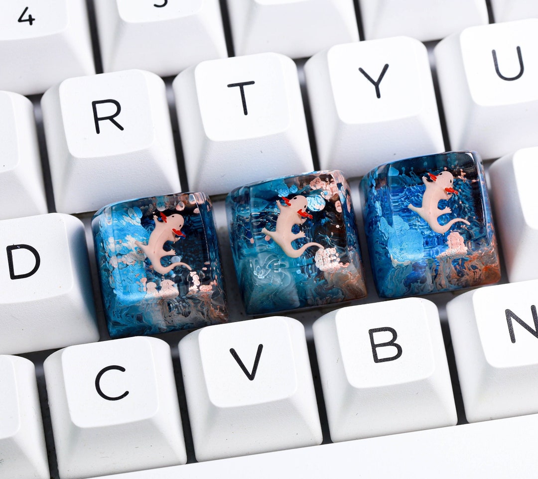 Blue and Coral Axolotl Artisan Keycap for Cherry MX Keyboard - Etsy