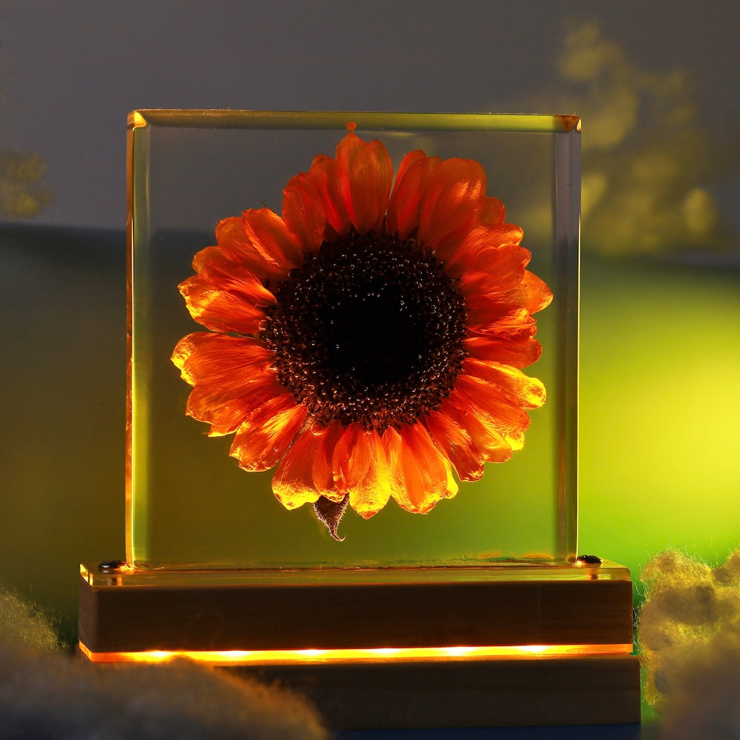 Sunflower Night Light, Real Sunflower Paperweight, Flower Epoxy Resin ...