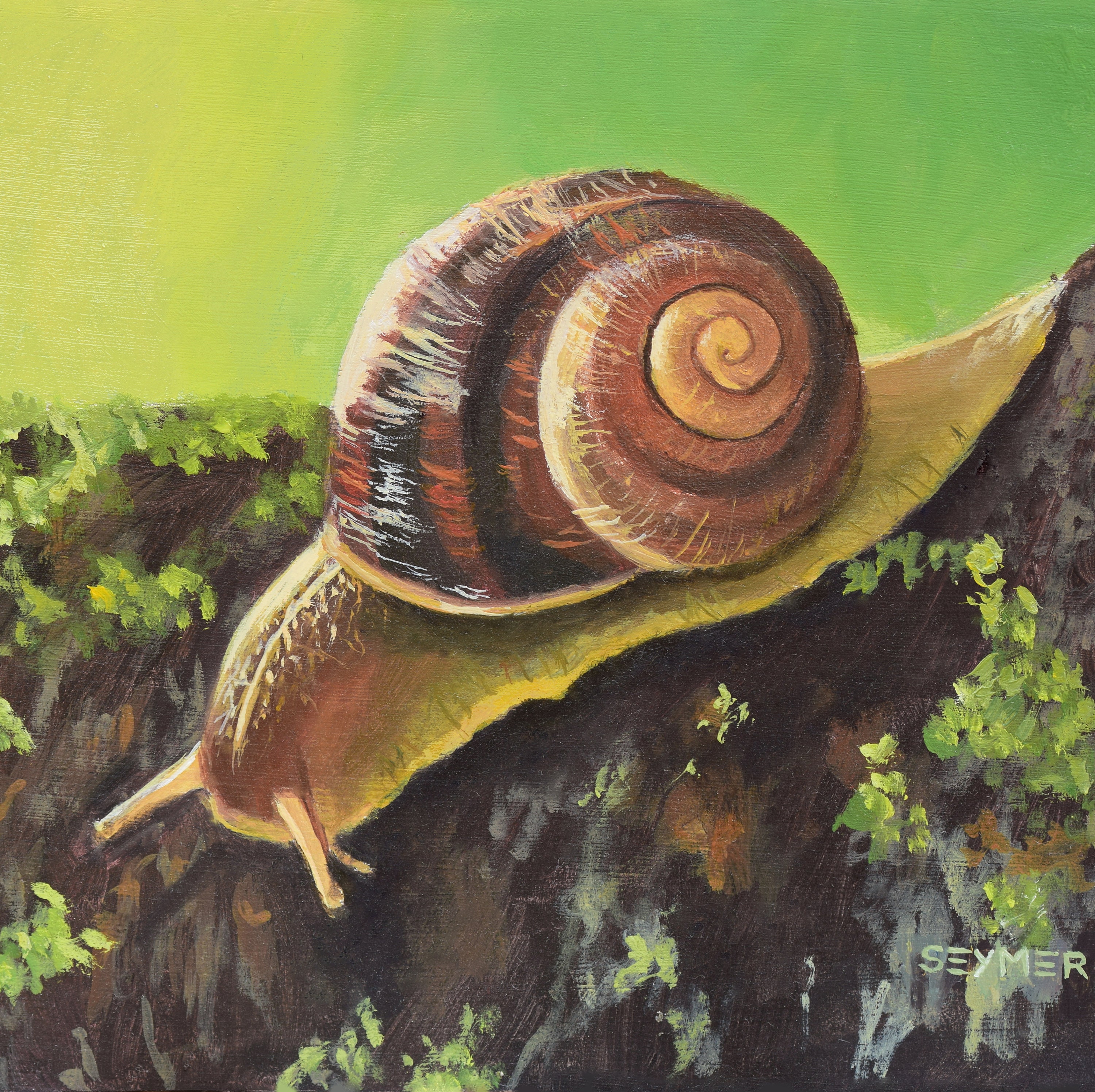 Snail Painting Snail, Art Print, Watercolor, Snail Painting, Animal