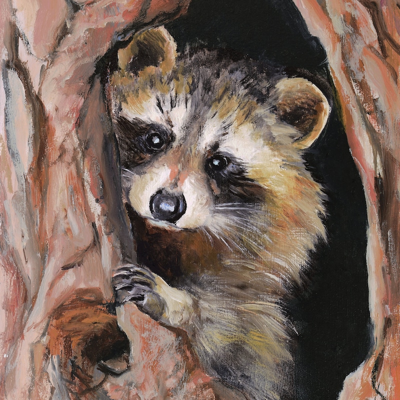 Raccoon Painting - Etsy