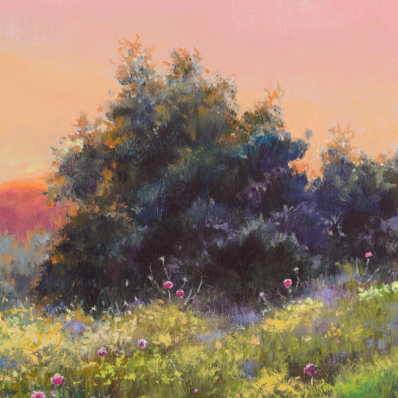 Flower Field Painting ORIGINAL Meadow Oil Painting for | Etsy