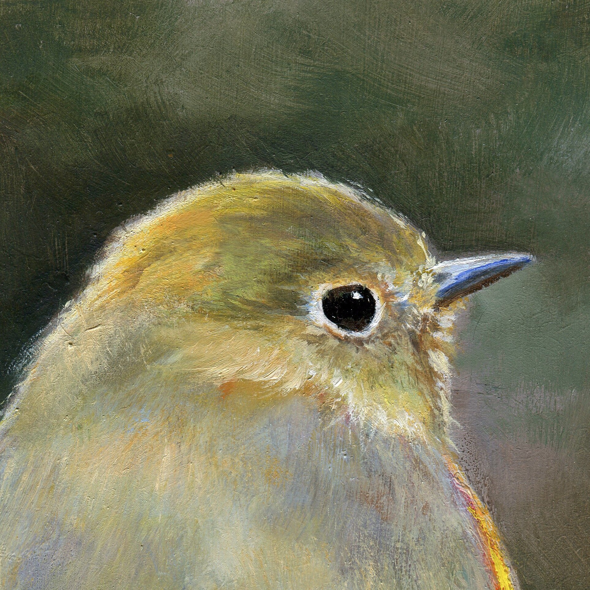 Bird ORIGINAL Painting Framed Cute Bird Realistic Art - Etsy