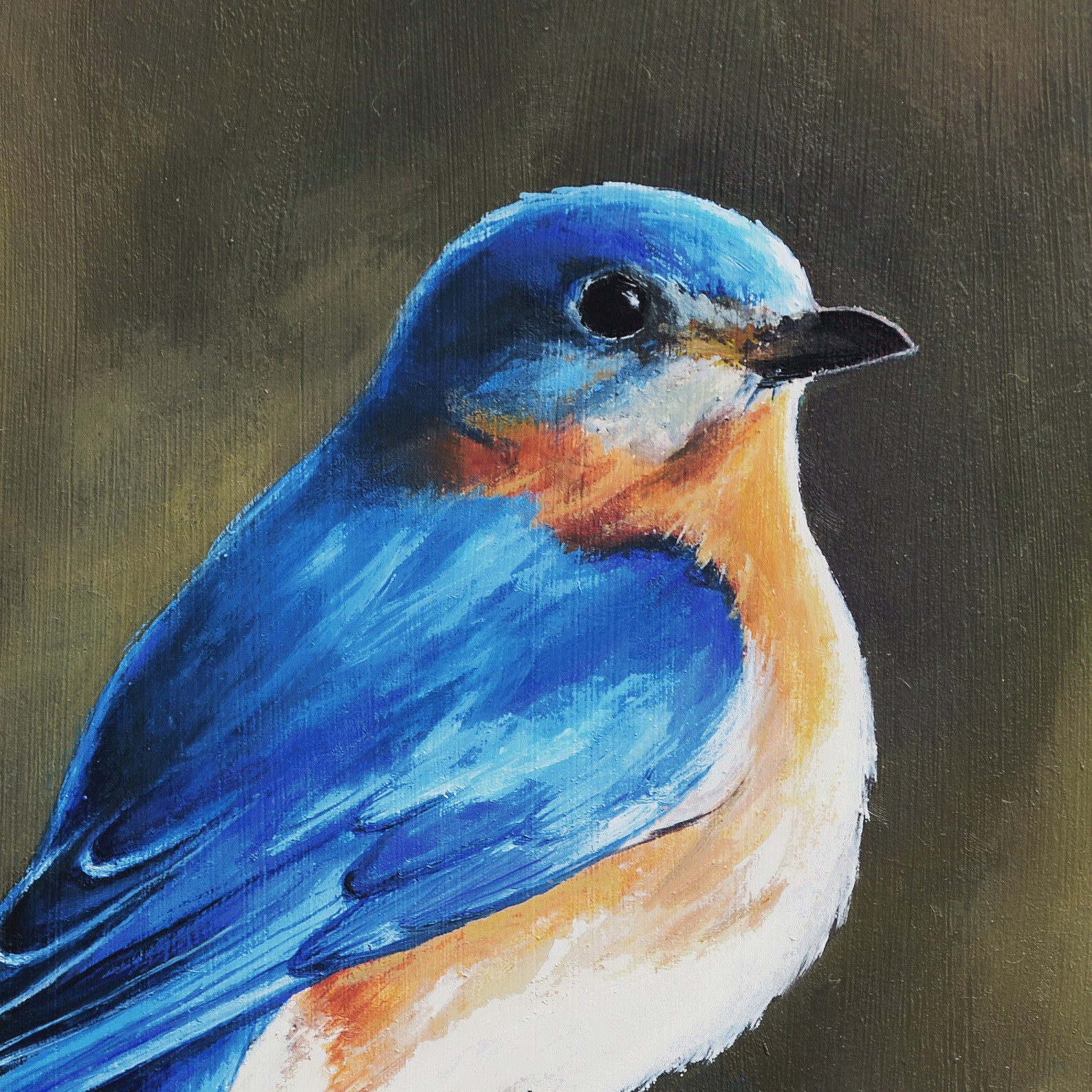 Eastern Blue Bird Artwork, Bird of Happiness Wall Art, ORIGINAL Bird ...