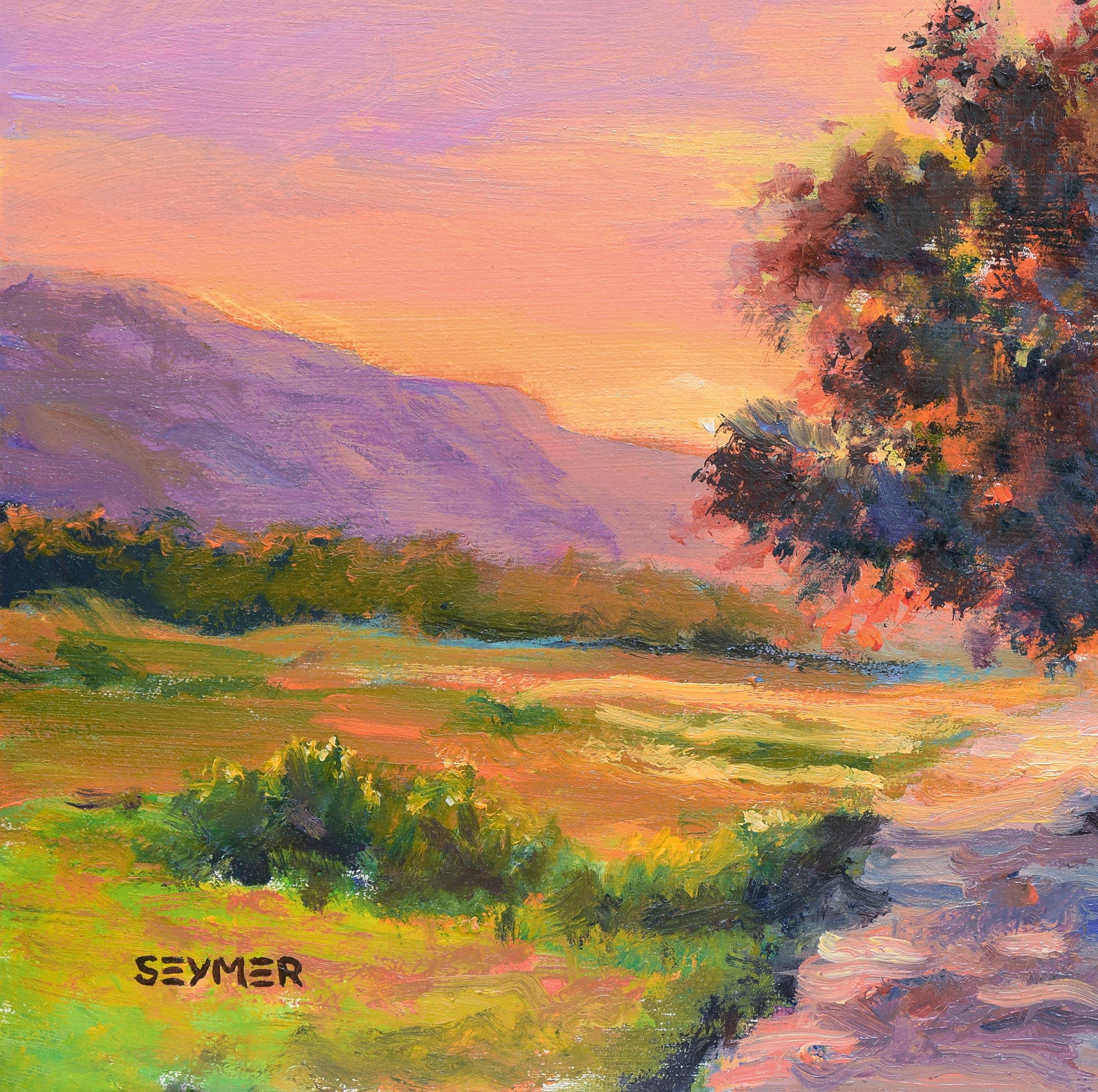 Sunny Field Landscape With Trees Colorful Summer Landscape - Etsy