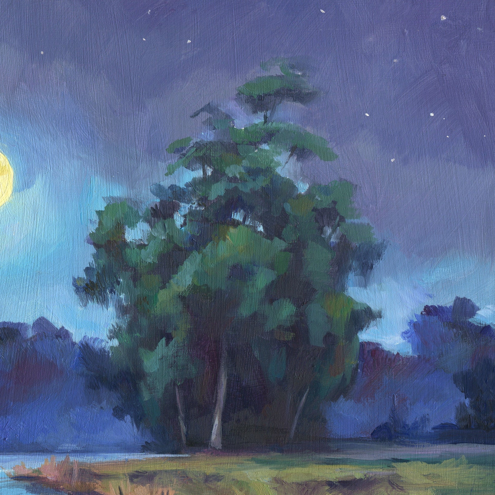 Night River Painting ORIGINAL, Nocturne Landscape River, Marshland ...