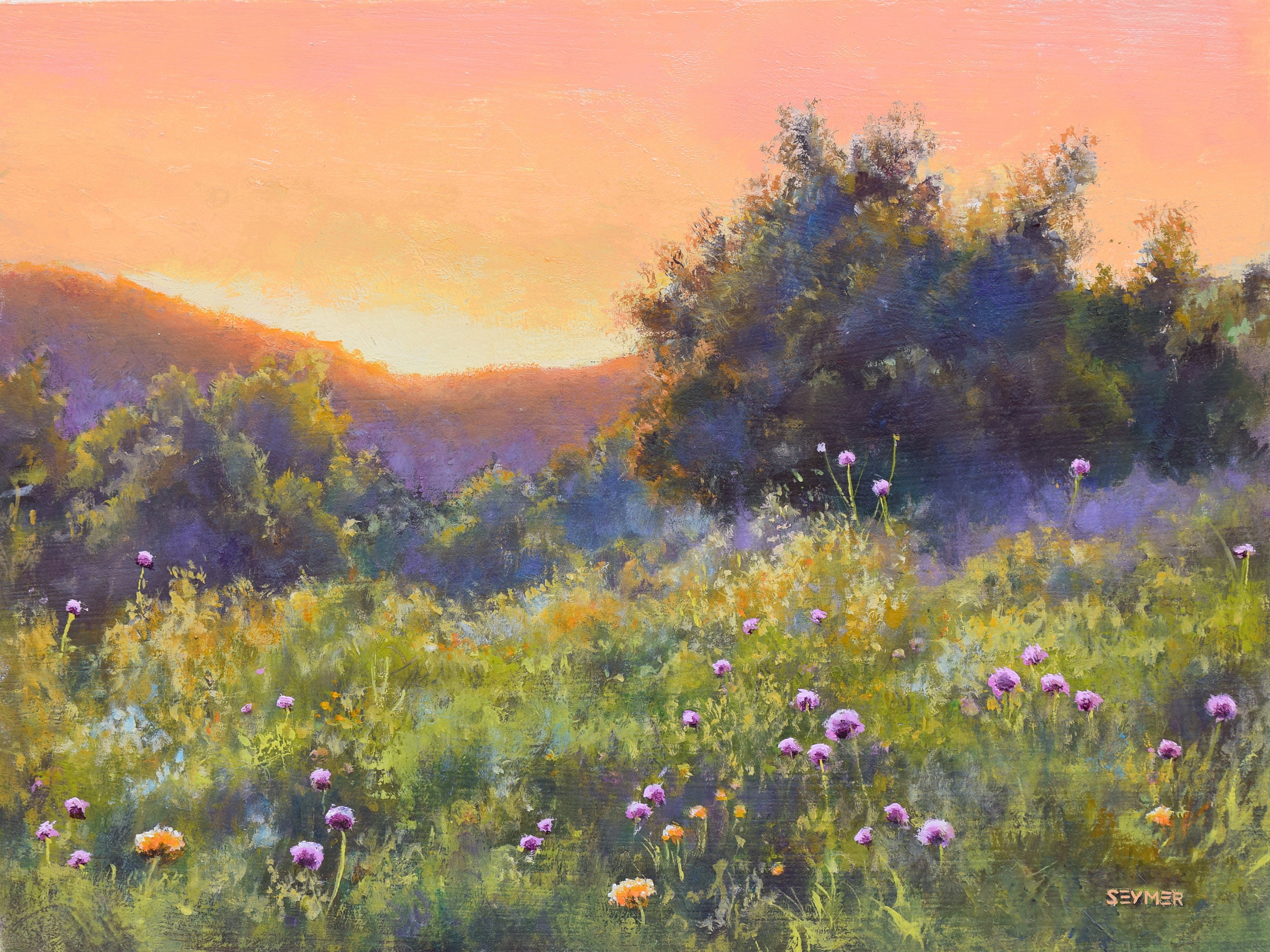 Wildflowers Spring Original Painting Field Landscape Oil - Etsy