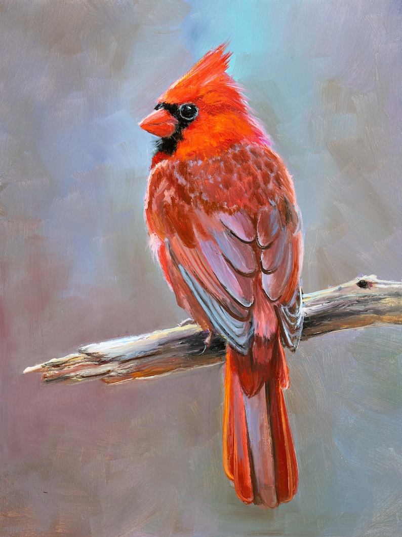 Cardinal Bird ORIGINAL Oil Painting, Northern Cardinal Art, Realistic ...