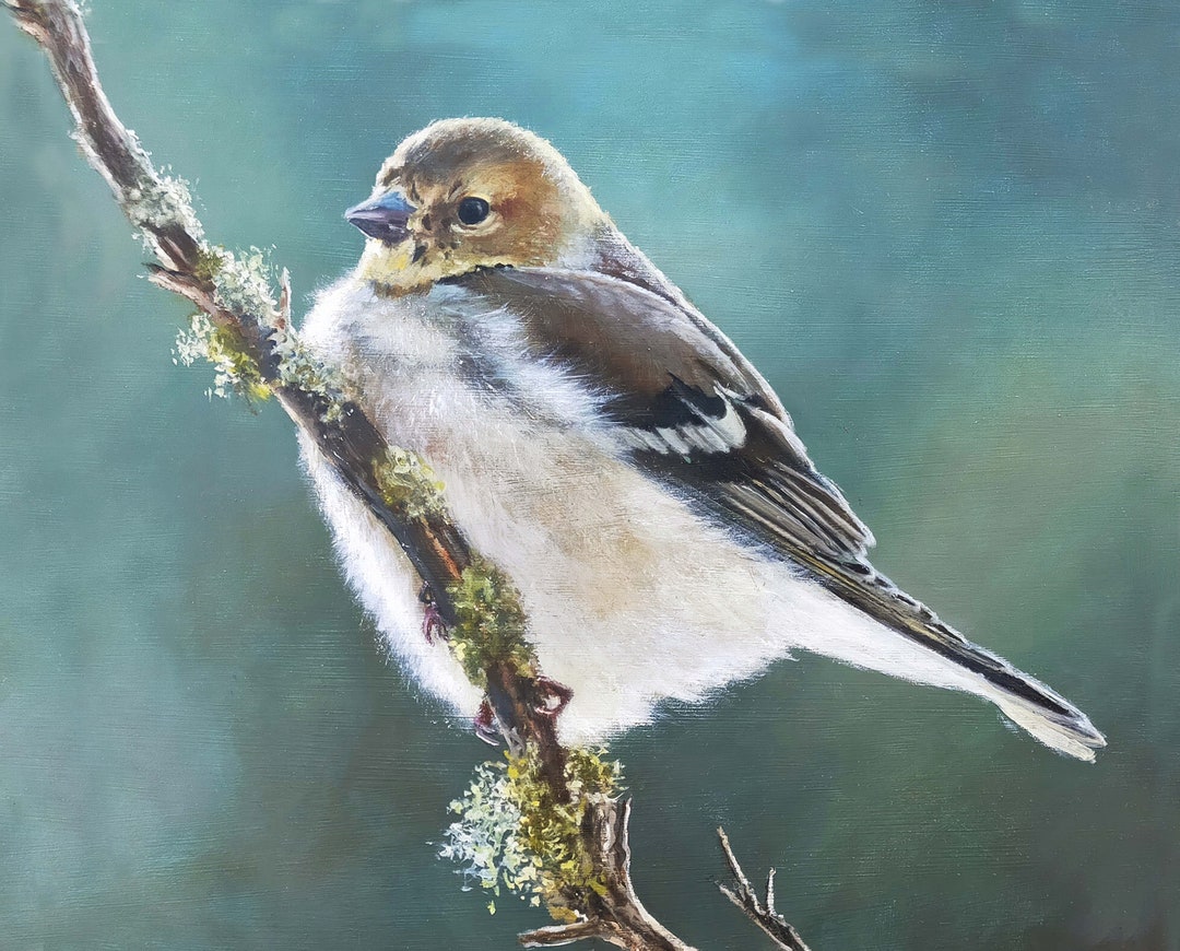 ORIGINAL Oil Painting Finch on a Branch, Garden Bird Framed Artwork ...
