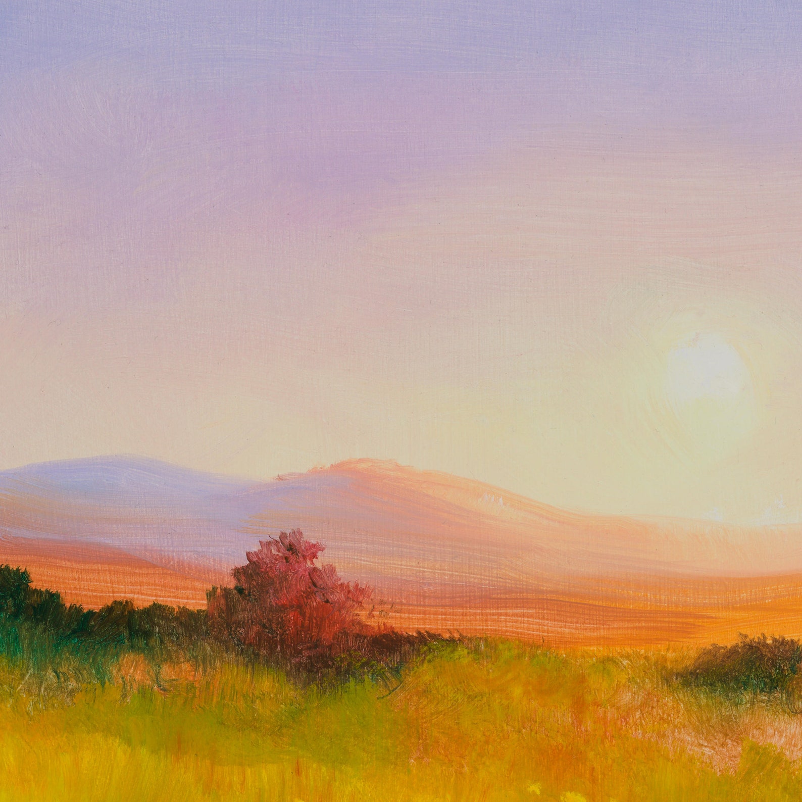 Meadow Landscape Painting ORIGINAL Living Room Decor Floral - Etsy