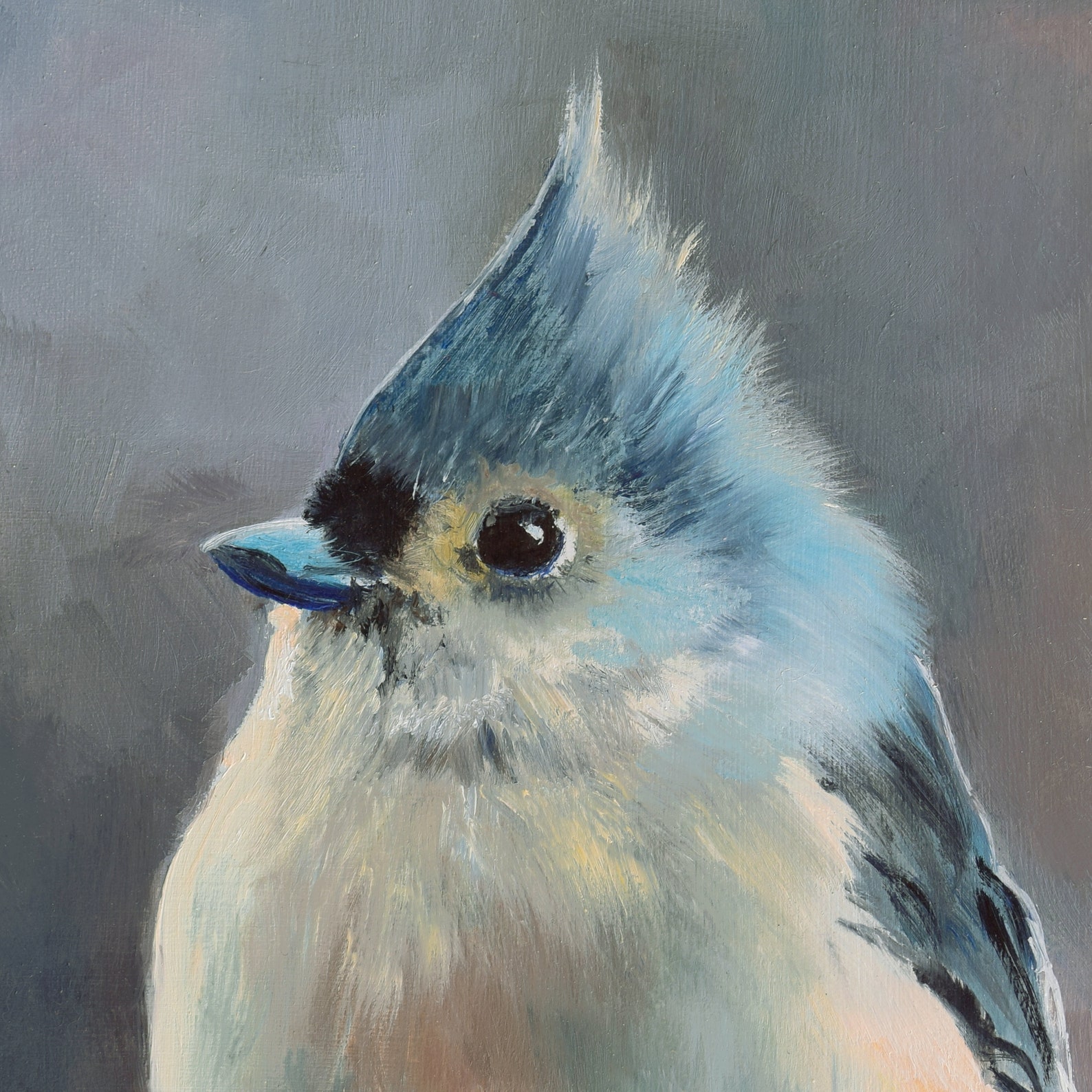 Tufted Titmouse Oil Painting, Framed Wildlife Painting, Cute Little ...