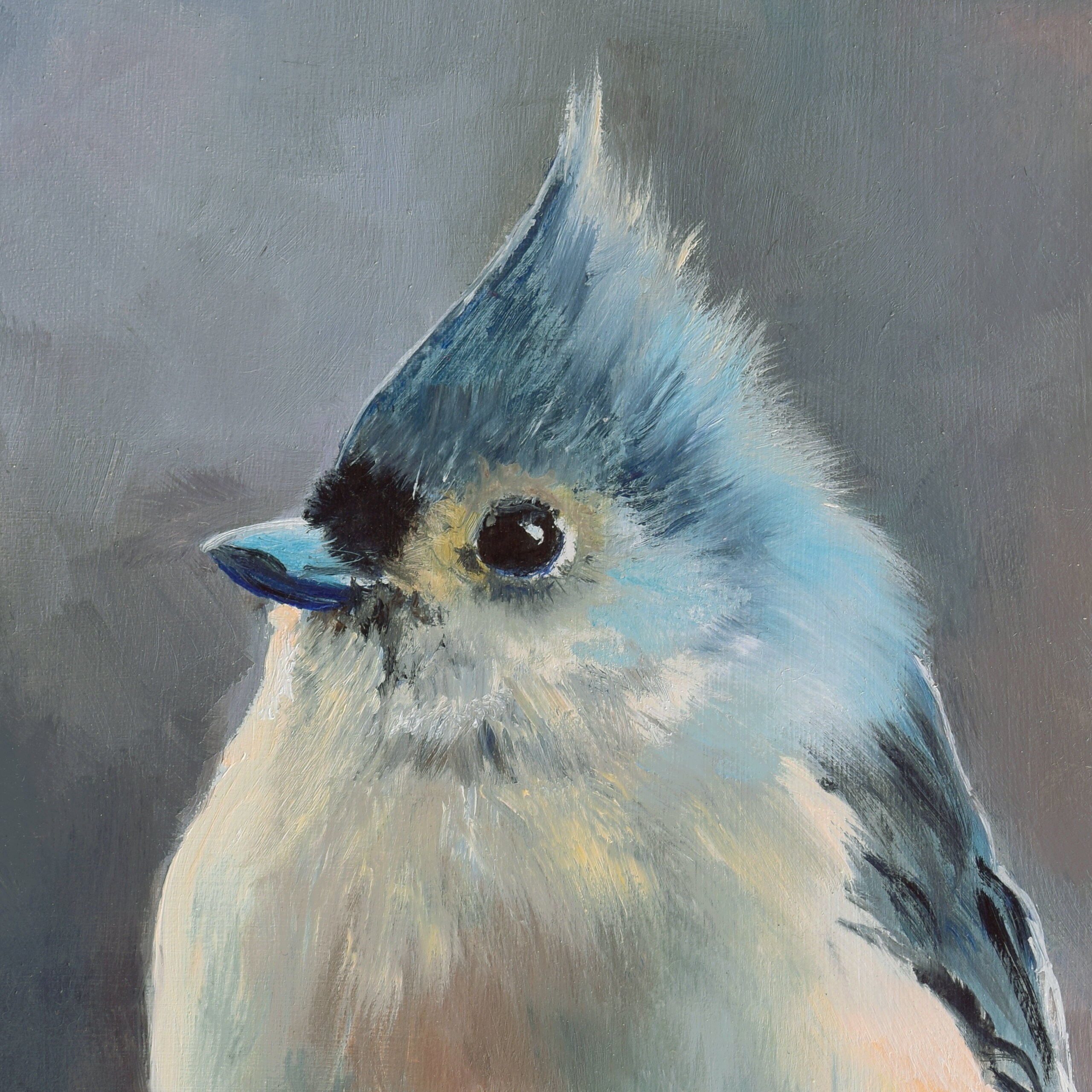 Tufted Titmouse Oil Painting Framed Wildlife Painting Cute | Etsy