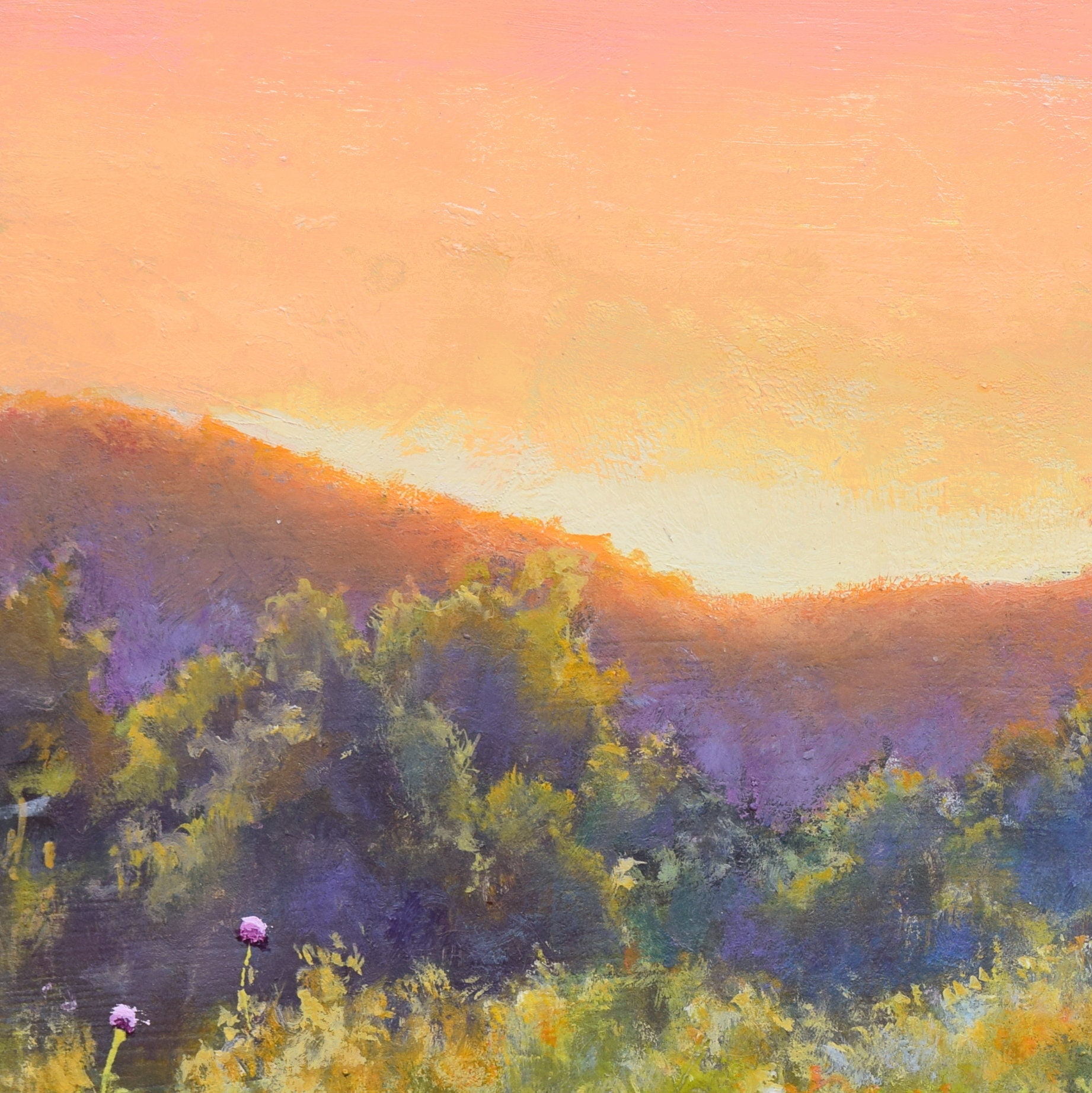 Wildflowers Spring Original Painting Field Landscape Oil - Etsy