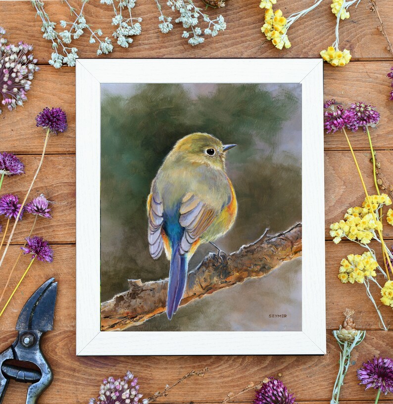Bird ORIGINAL Painting Framed Cute Bird Realistic Art - Etsy