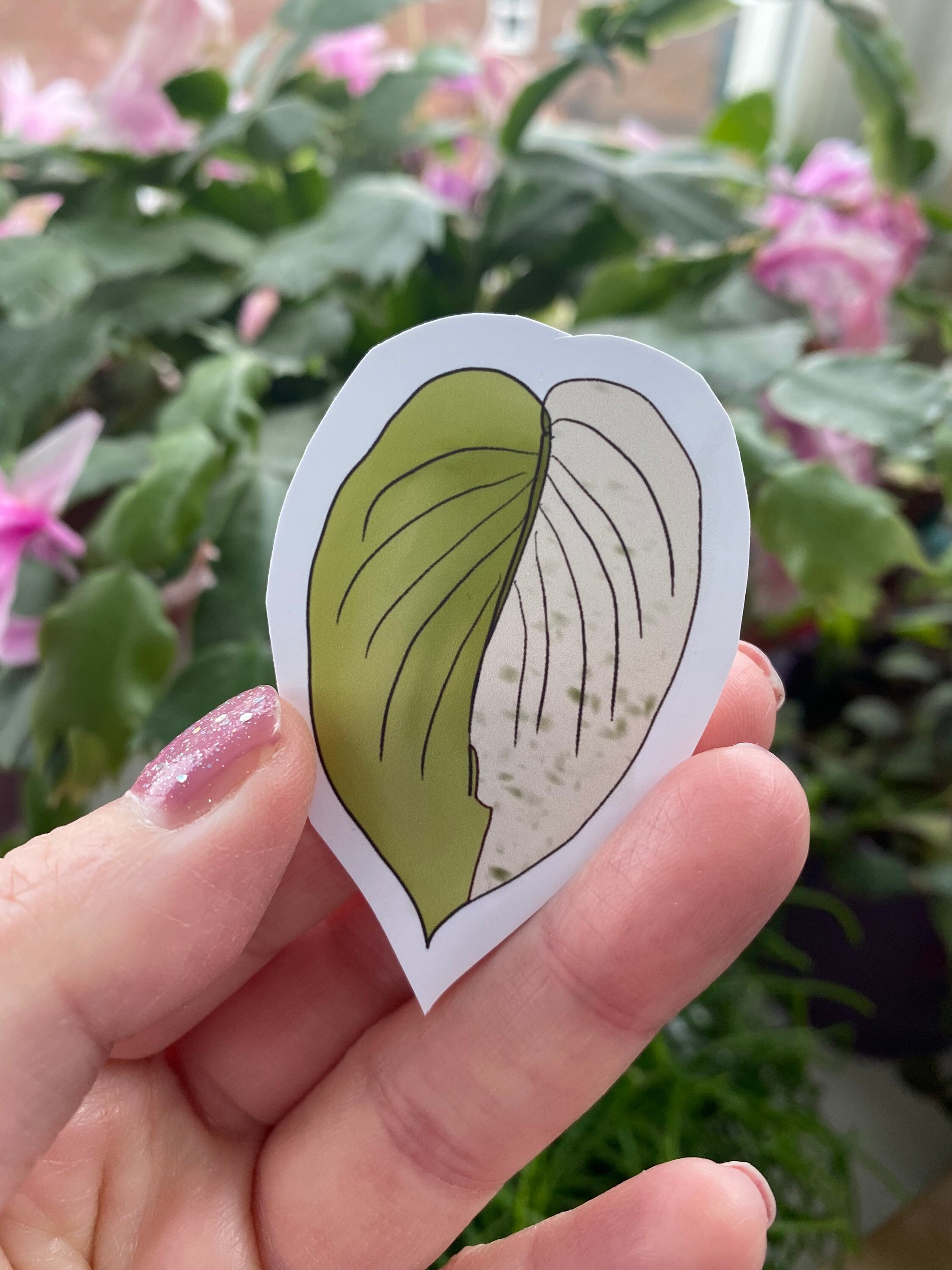 Drawing & Illustration Art & Collectibles Pink Princess Philo Leaf ...