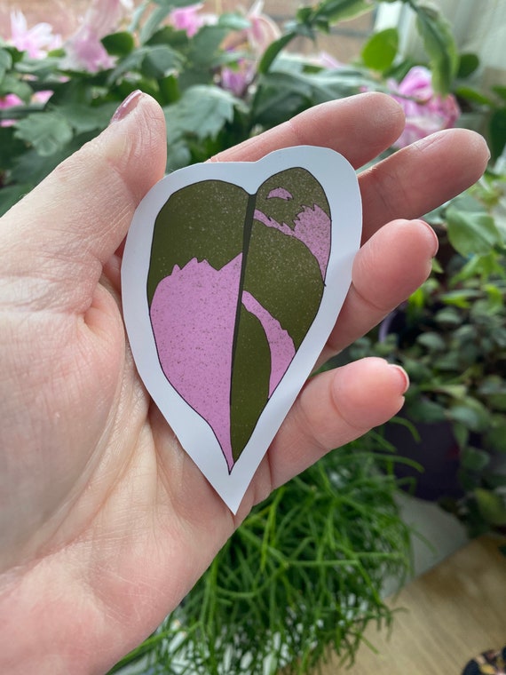 Drawing & Illustration Art & Collectibles Pink Princess Philo Leaf ...