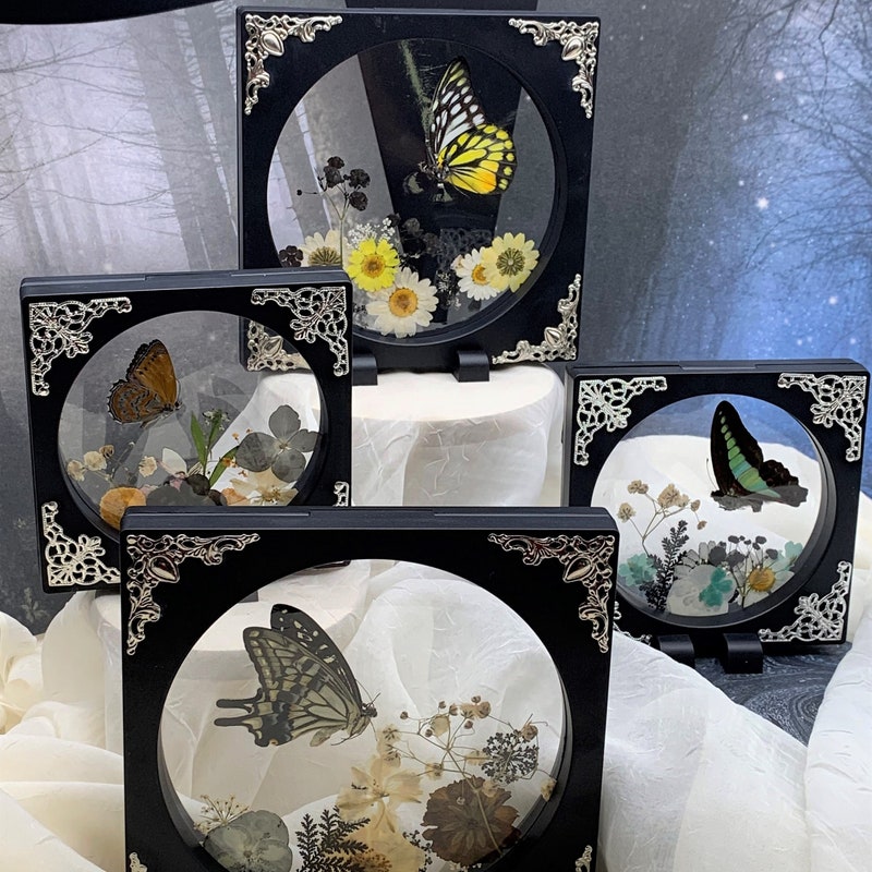 Dried Butterflies - Etsy