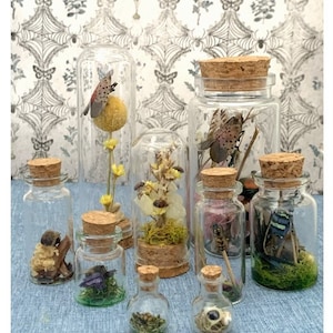 Coccinellidae Ladybug Display in Cloche Bottle. Stunning Home Decor ...