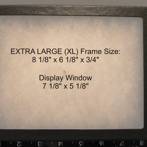 Classic Riker Mount Frames, Glass Top Display for Collectibles. DIY ...