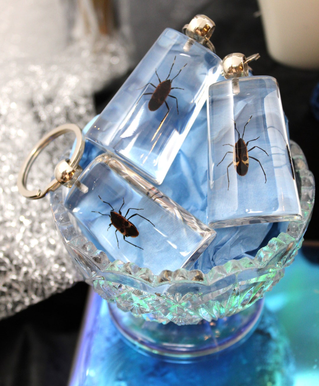 Intricate Cross Bug Resin Piece, Versatile Insect Accessory for ...