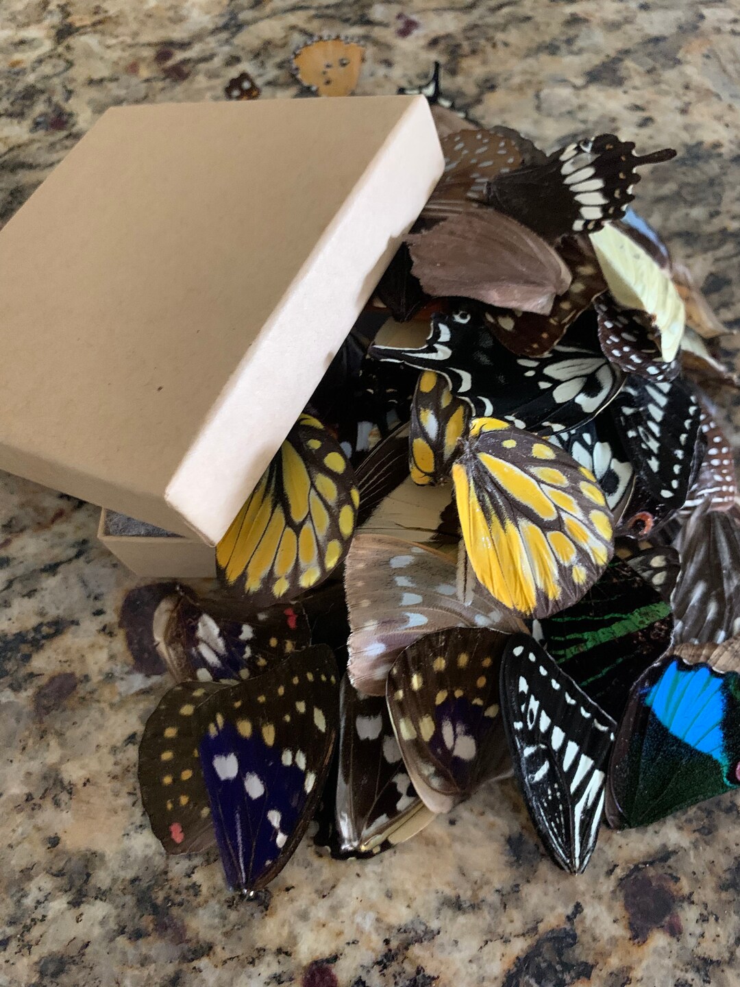 Eco-friendly Butterfly Wings: Craft & Collage Supplies - Etsy