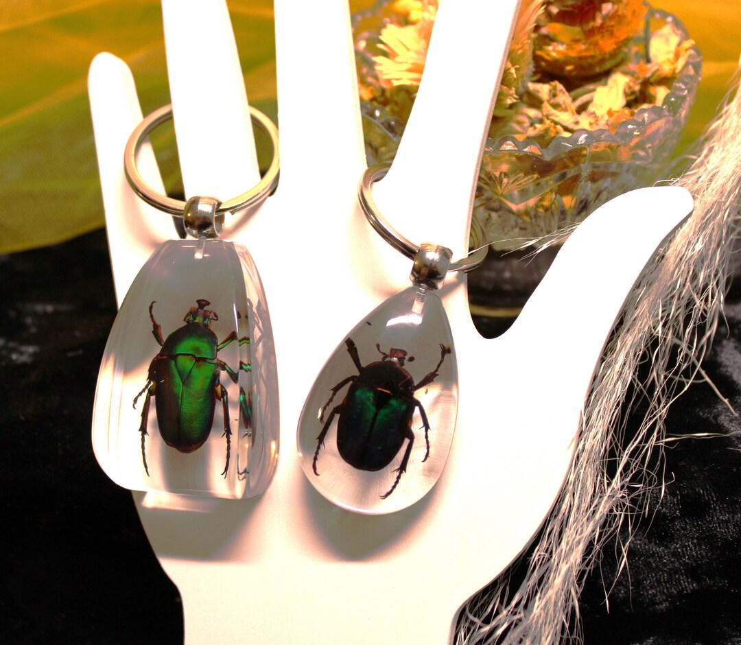 Resin-encased Beetle, Captivating Jewelry or Accessory, Distinctive ...