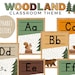 Woodland Classroom Affirmation Station - Etsy
