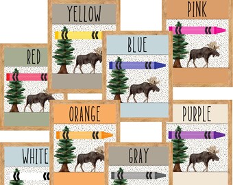 Color Posters for the Classroom Primary Classroom Decor Floral ...