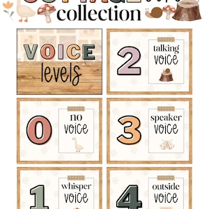 Cottagecore Voice Level Classroom Posters - Etsy
