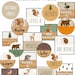 Woodland Theme Complete Classroom Collection - Etsy